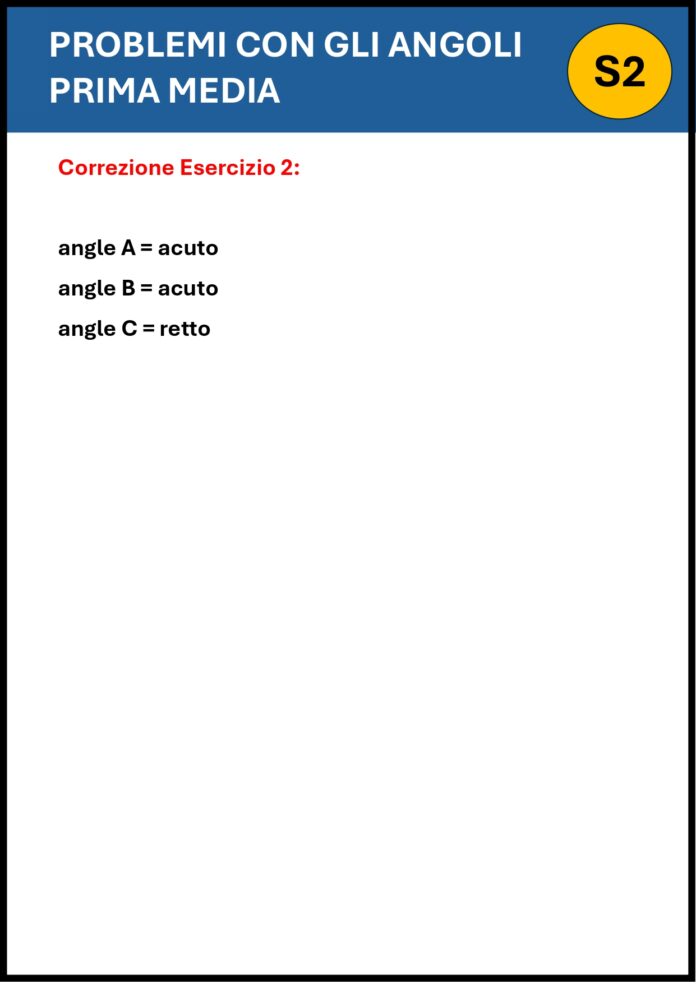 Problemi con gli Angoli Prima Media PDF da stampare